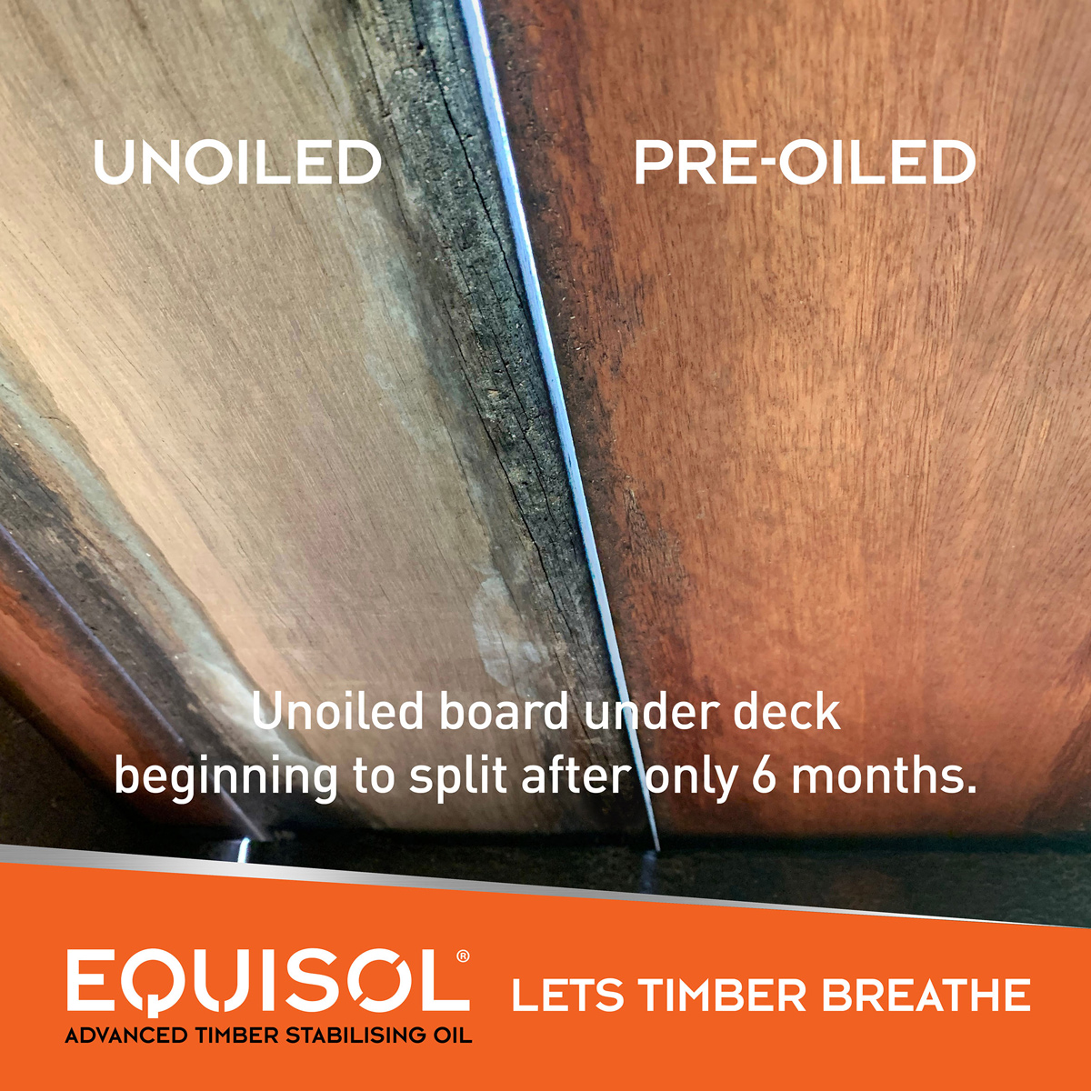 Equisol Pre-Oiled Before After | Equisol