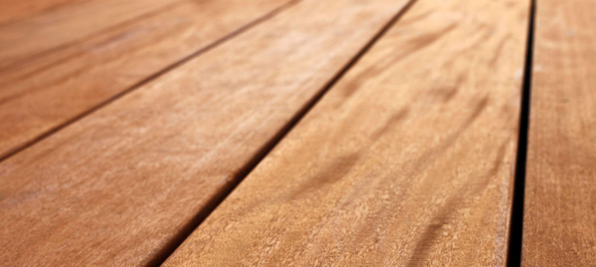 Equisol Prime | Equisol