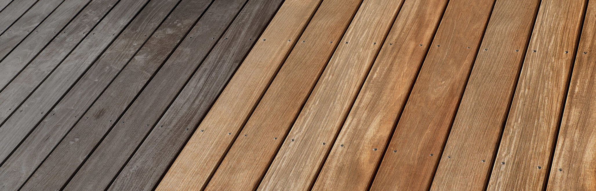 Equisol Vitalise | Equisol